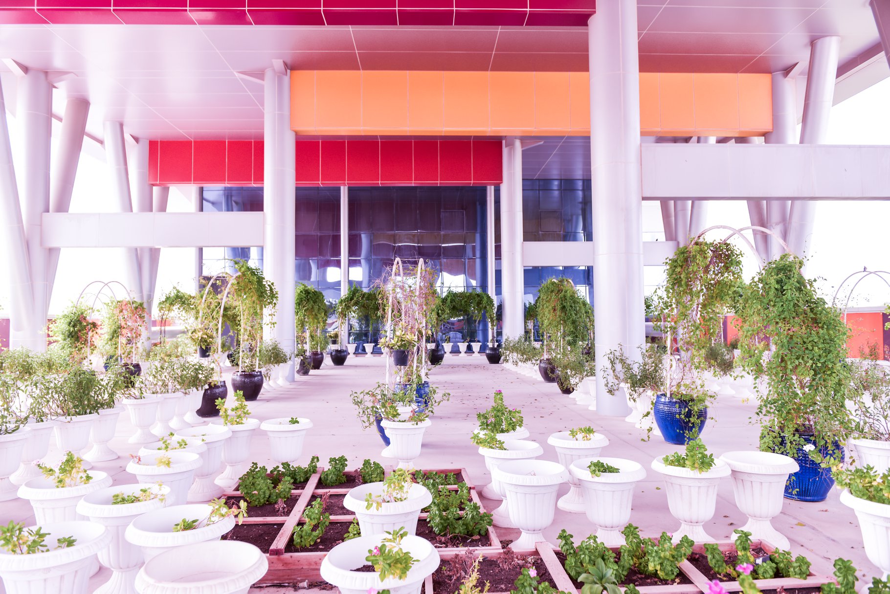 Next Generation School | Photo & Video Galleries